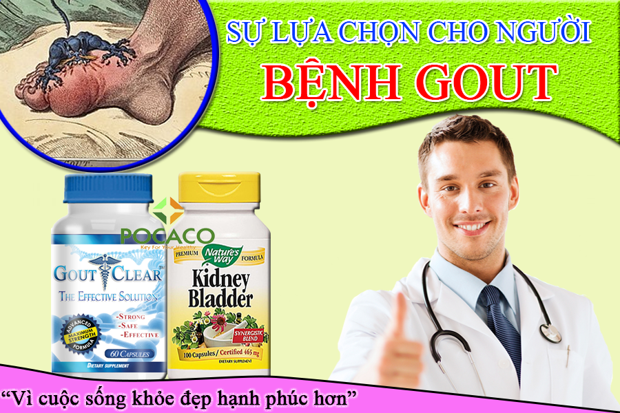 Các thảo dược điều trị bệnh gout hiệu quả dựa trên nền tảng Đông y